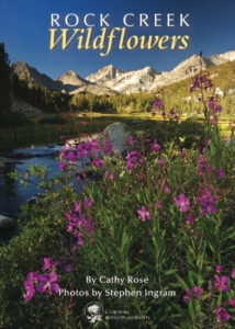 Flora – Stephen Ingram Eastern Sierra Nature Photographer