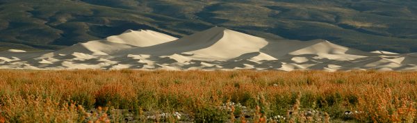 Deserts – Stephen Ingram Eastern Sierra Nature Photographer