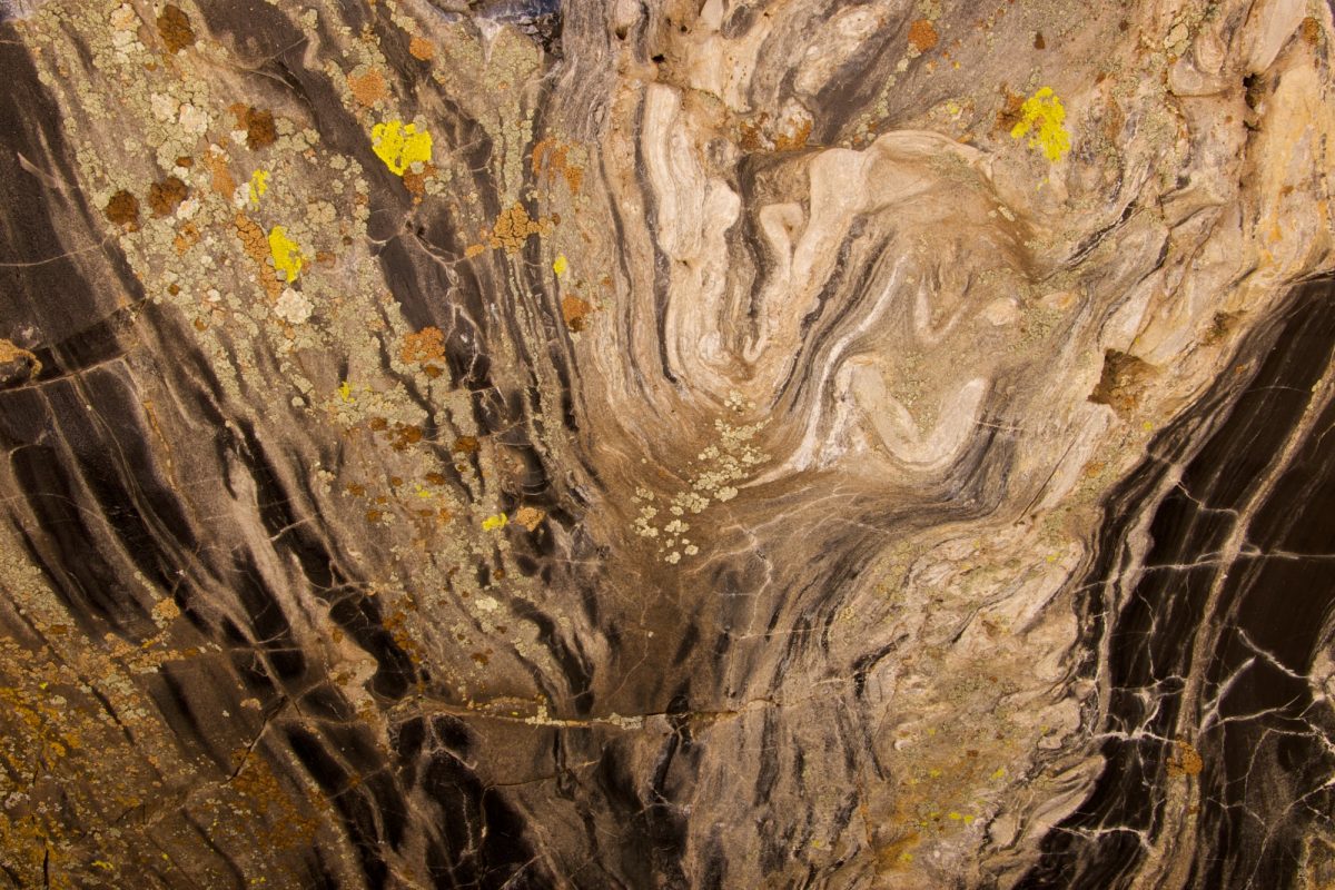 Flora – Stephen Ingram Eastern Sierra Nature Photographer