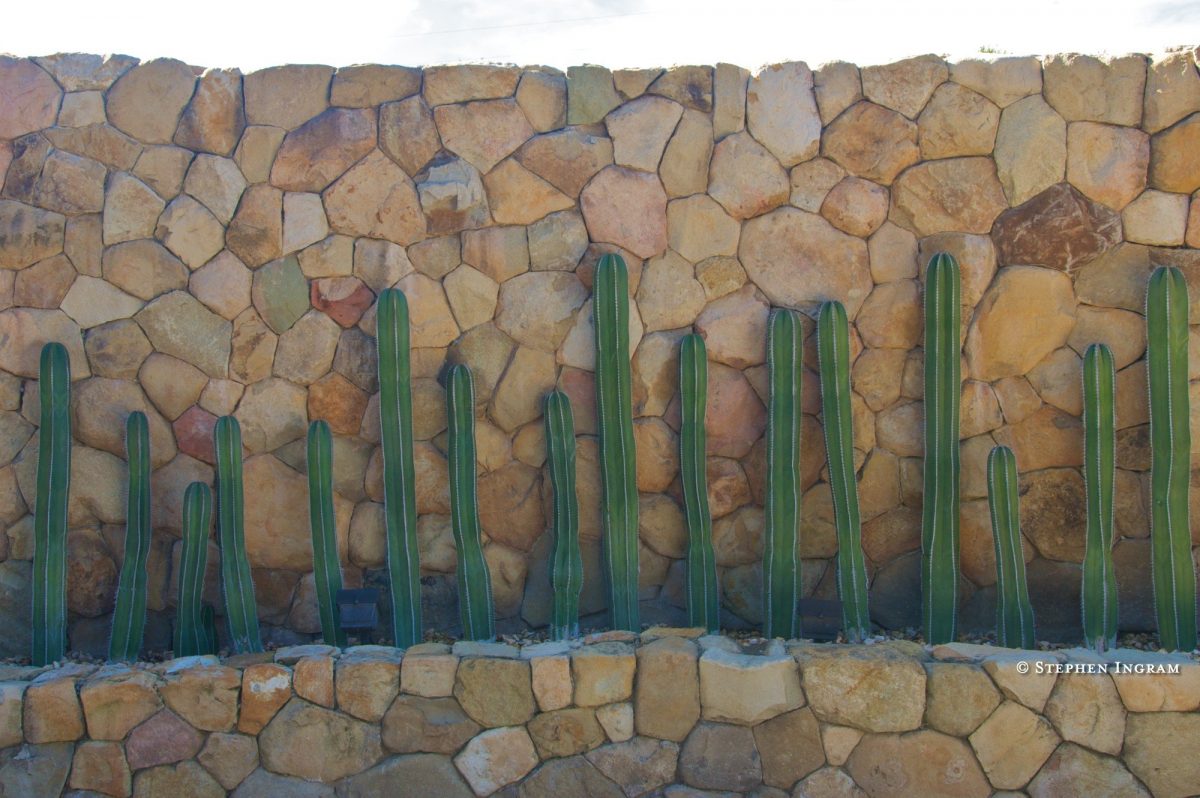 Gardens – Stephen Ingram Eastern Sierra Nature Photographer